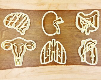 Anatomy Cookie Cutter | Etsy