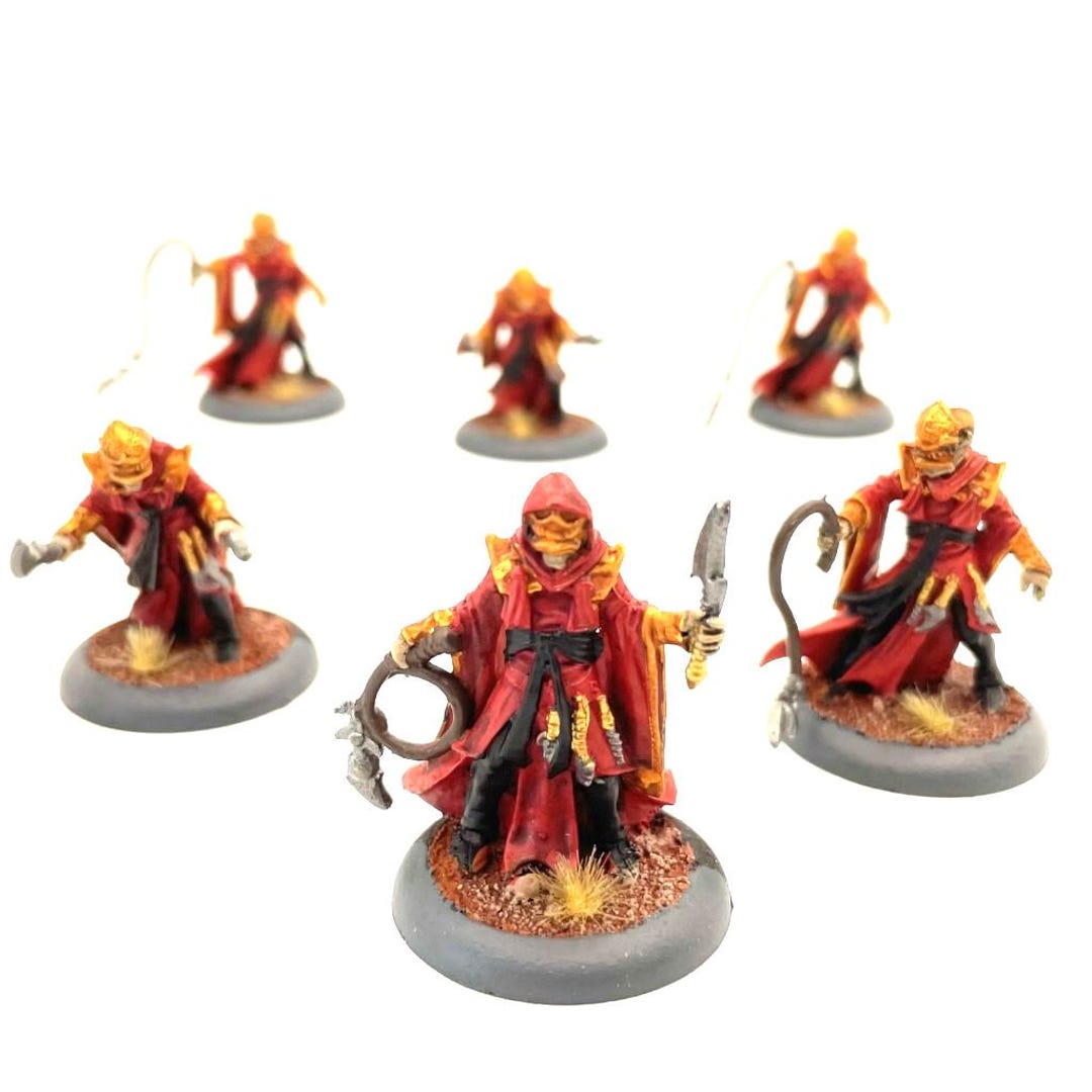 Paingiver Beast Handlers 6 Painted Miniatures Skorne Cultist Privateer ...