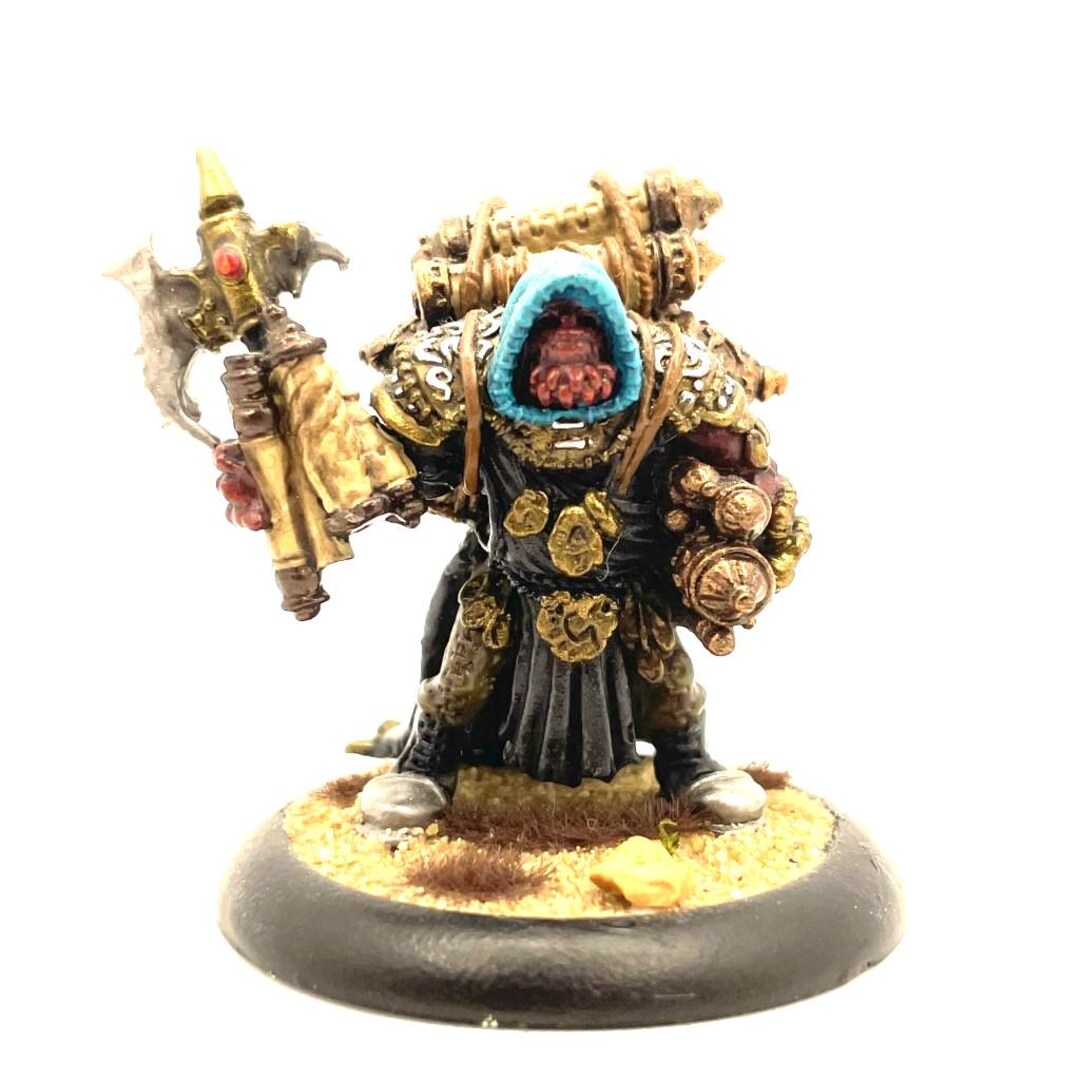 Stone Scribe Elder 1 Painted Miniature Trollbloods Trollkin Privateer ...