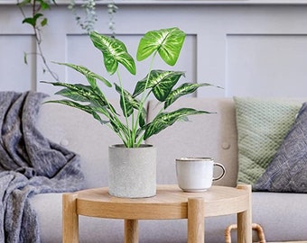 Faux Kitchen Plants - Etsy