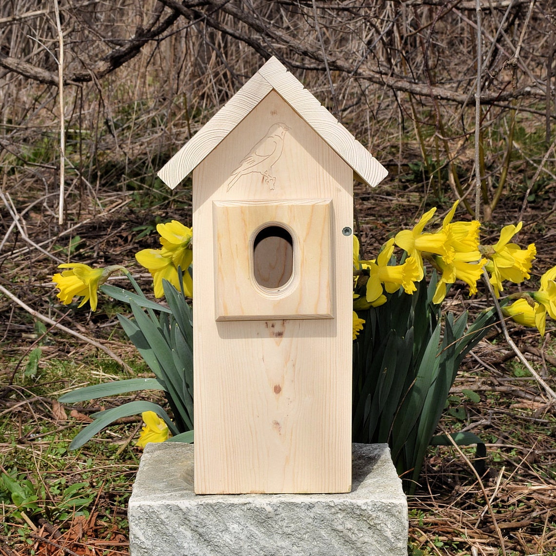 Bluebird House - Unfinished Pine - Easy Clean - Predator Guard - Gable ...
