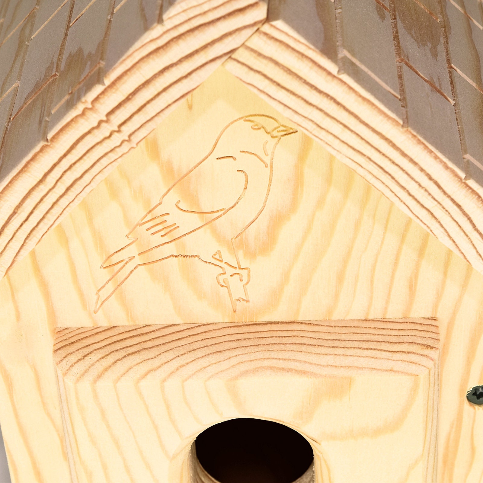 Bluebird House - Unfinished Pine - Easy Clean - Predator Guard - Gable ...