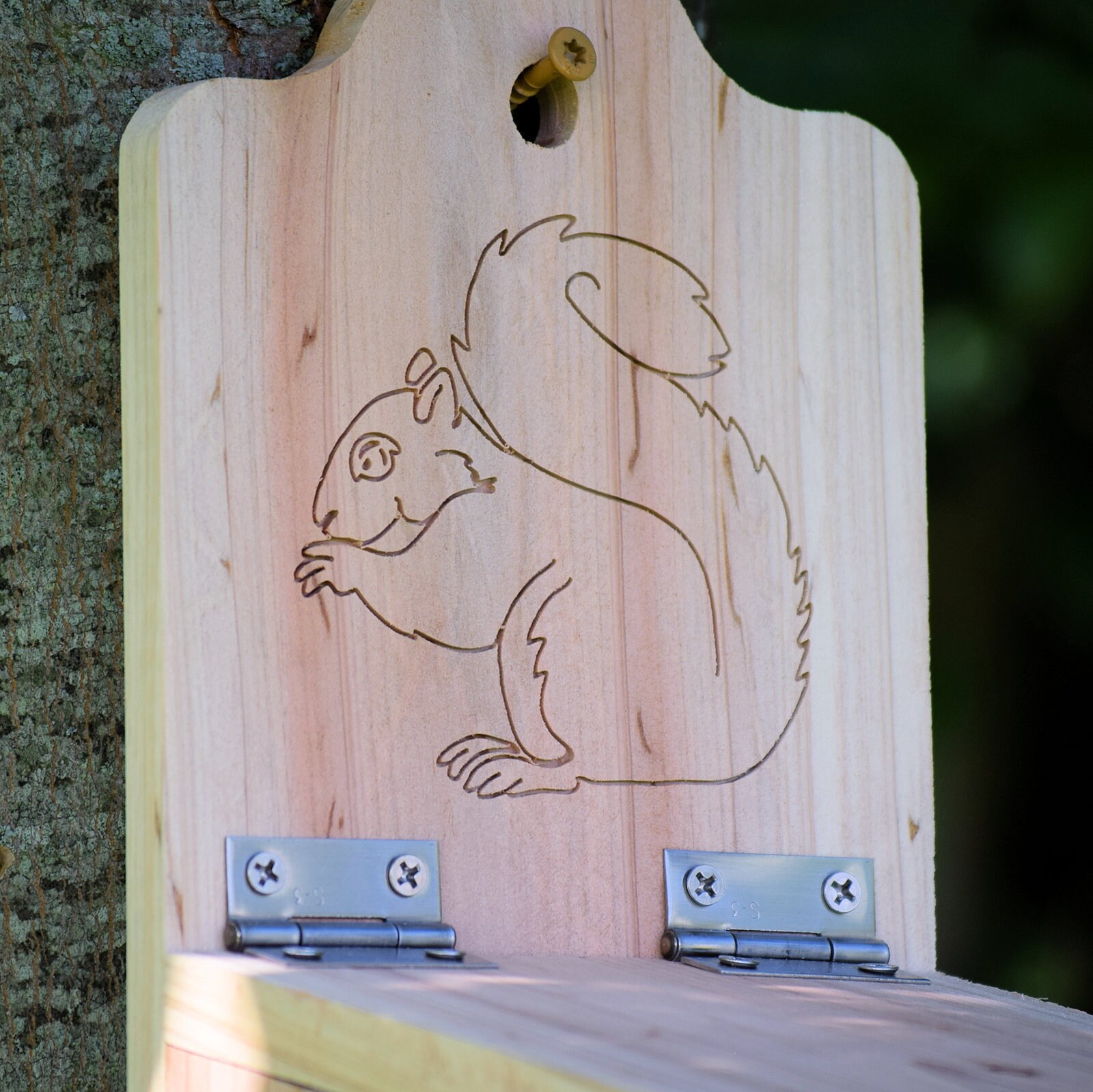 Cedar Squirrel & Blue Jay Feeder - Handcrafted | Holds 1.5 Lbs. Whole ...