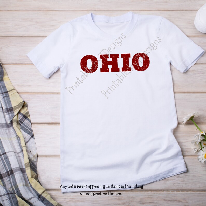 Ohio State Shape PNG, Distressed SVG Cut File, State Svg, State Clipart ...