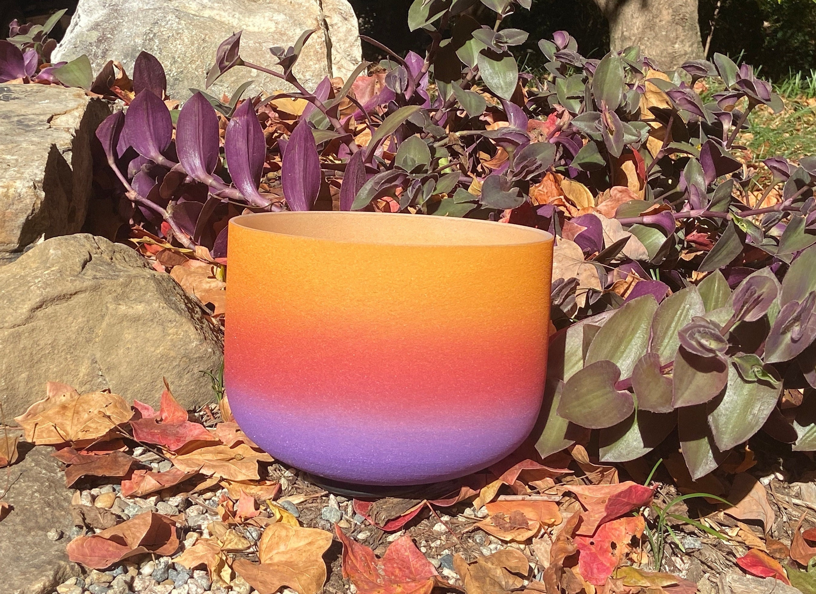 Desert Flower 432hz 8 Solar Plexus Chakra E Note - Etsy