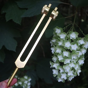 Schumann 93.96 Hz Tuning Fork - Schumann Resonance - Sound Vibration ...