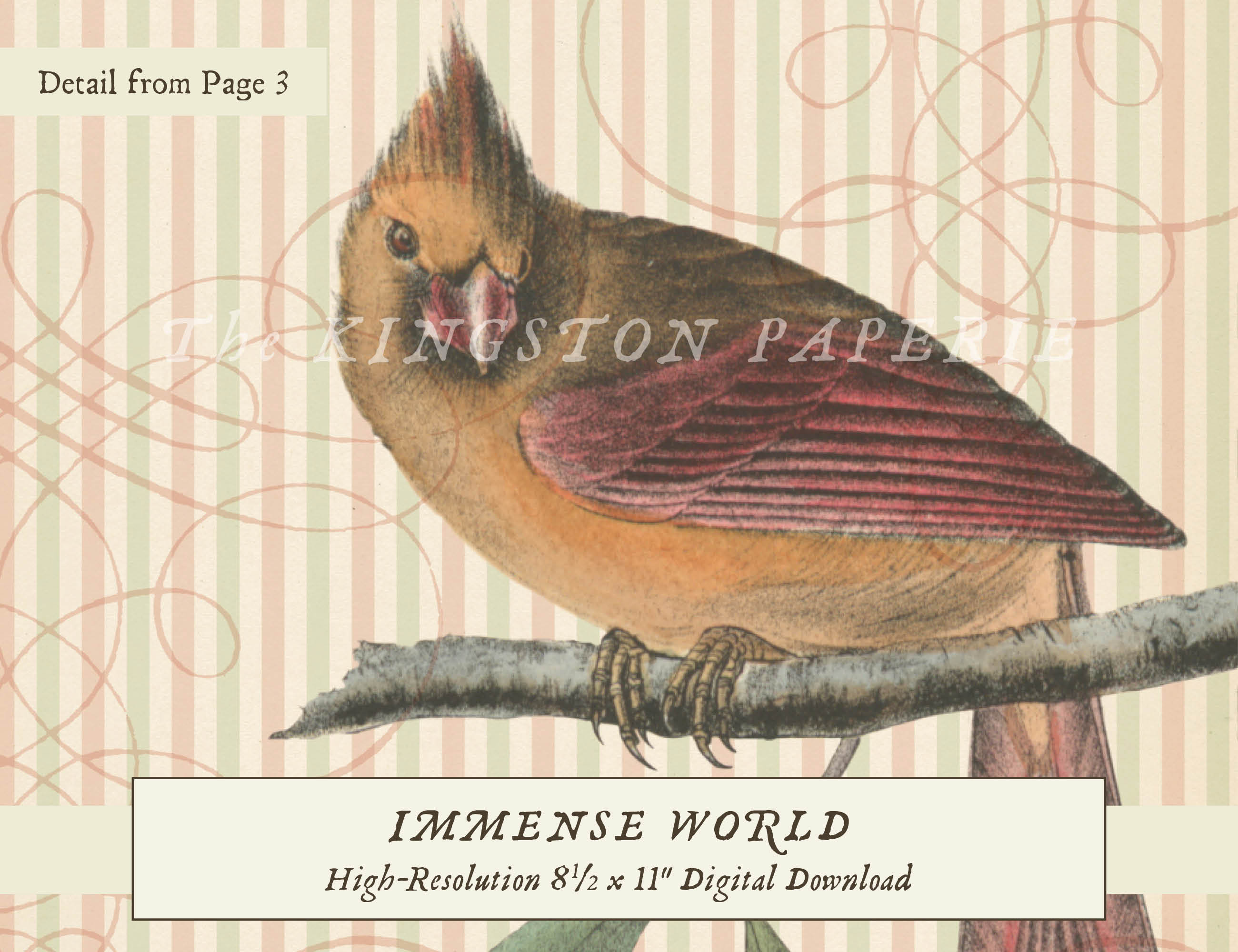 Immense World Cardinals Printable Digital Download for Journals ...