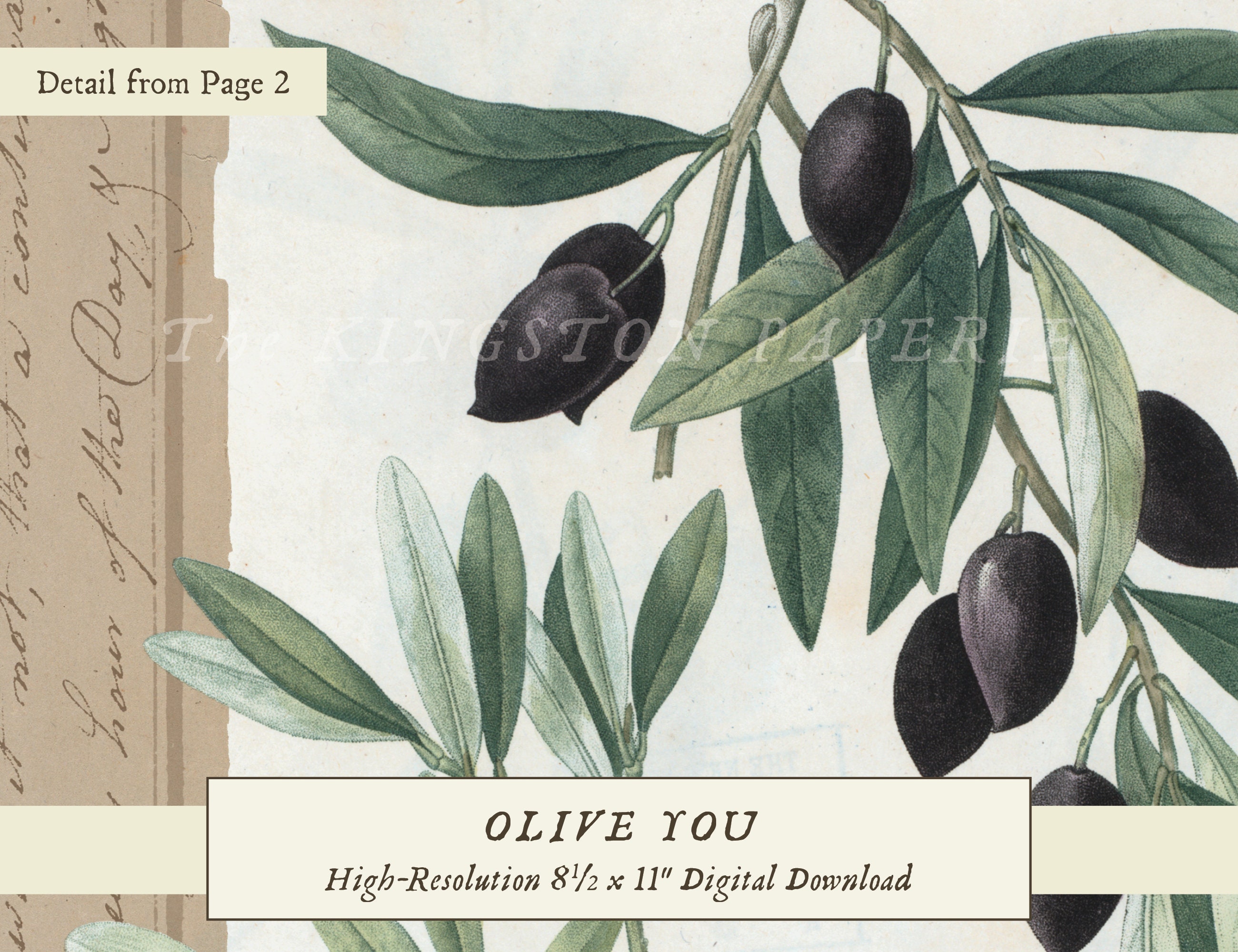 Olive You Printable Digital Download for Journals, Greeting Cards ...