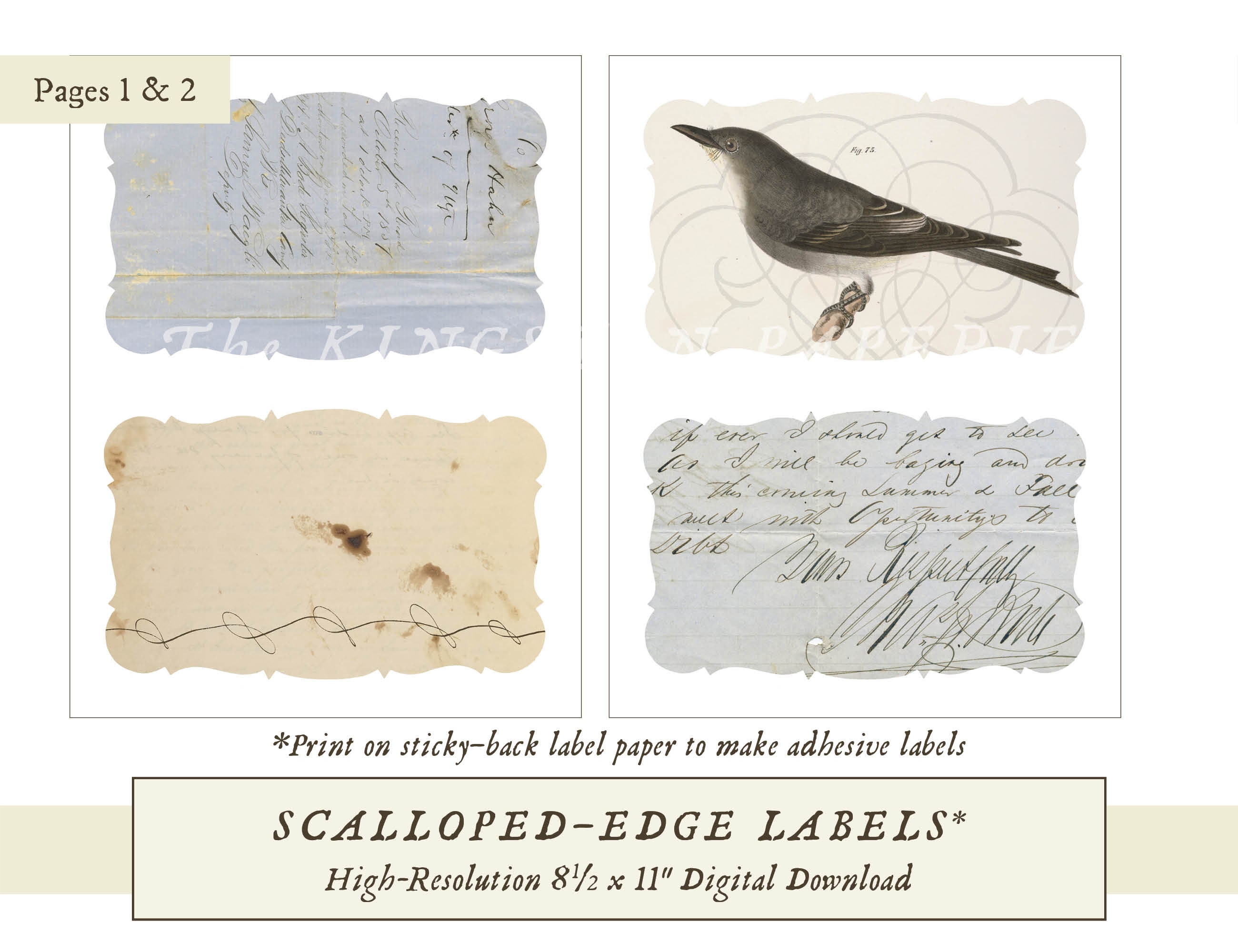 Scalloped-edge Label Printable Digital Download for Journals, Greeting ...