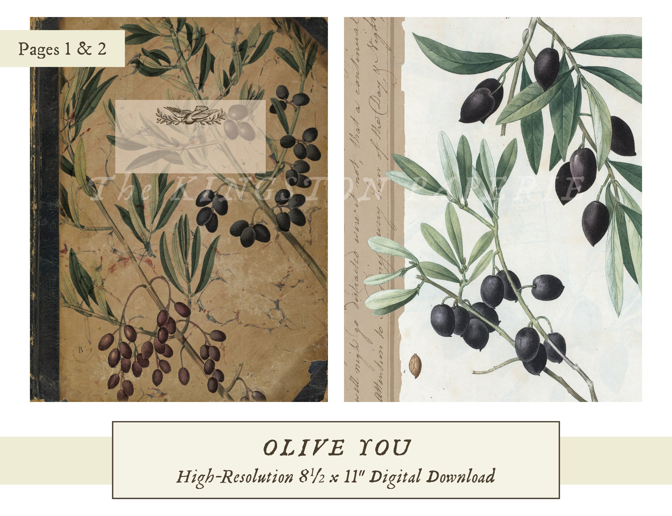 Olive You Printable Digital Download for Journals, Greeting Cards ...