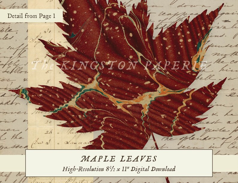 Maple Leaves Printable Digital Download for Journals, Greeting Cards ...