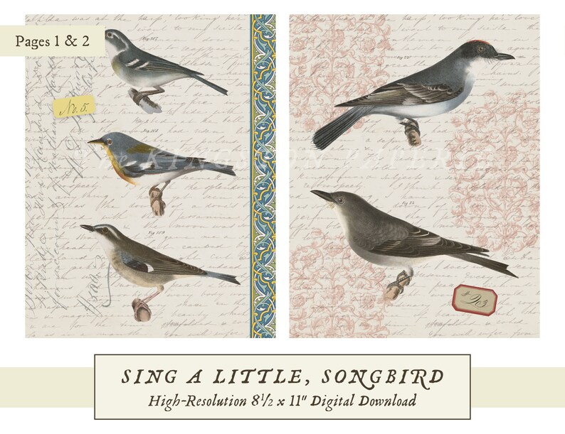 Sing A Little, Songbird Printable Digital Download for Journals ...