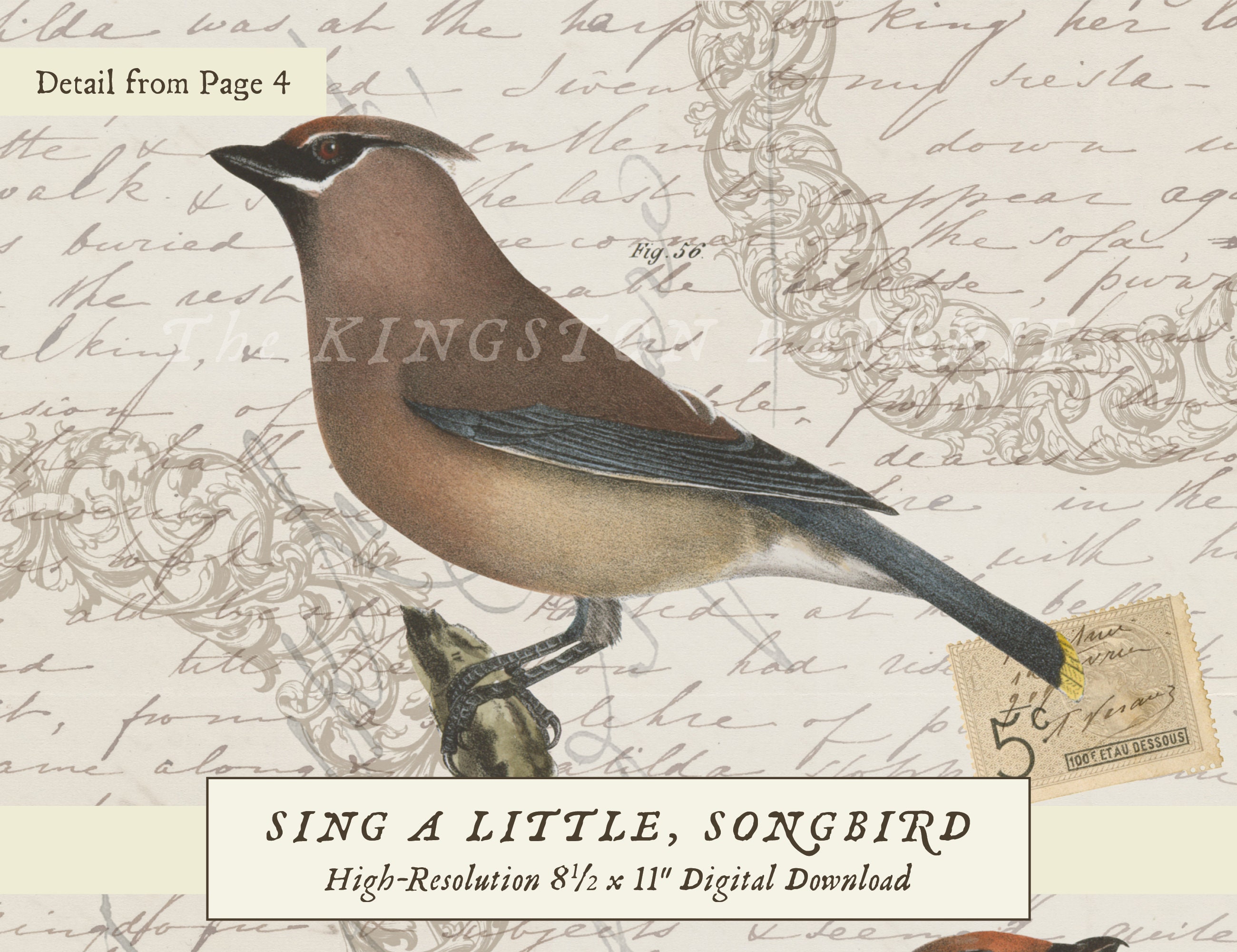 Sing A Little, Songbird Printable Digital Download for Journals ...