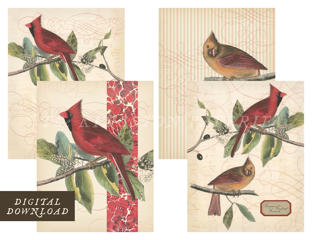 Immense World Cardinals Printable Digital Download for Journals ...