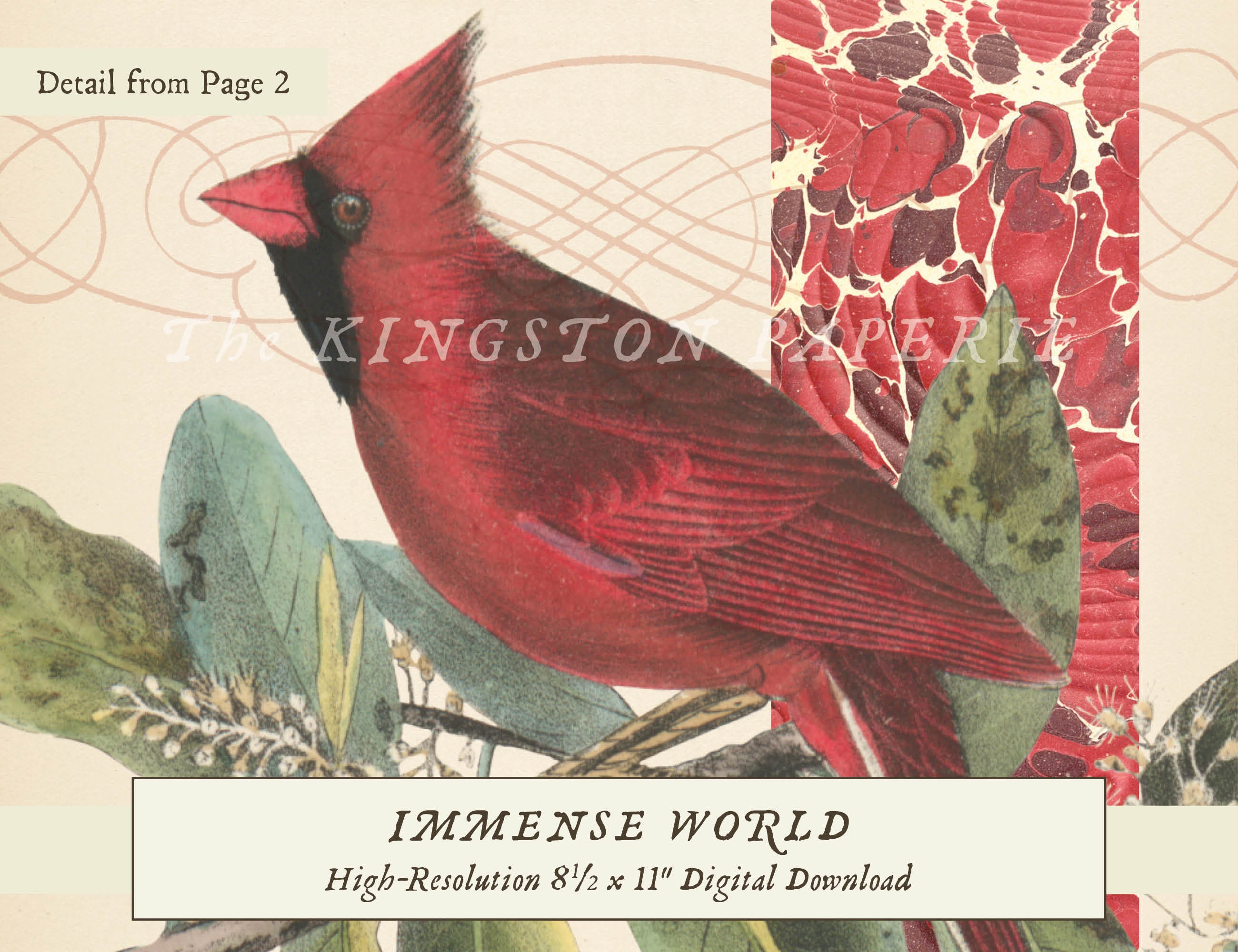 Immense World Cardinals Printable Digital Download for Journals ...