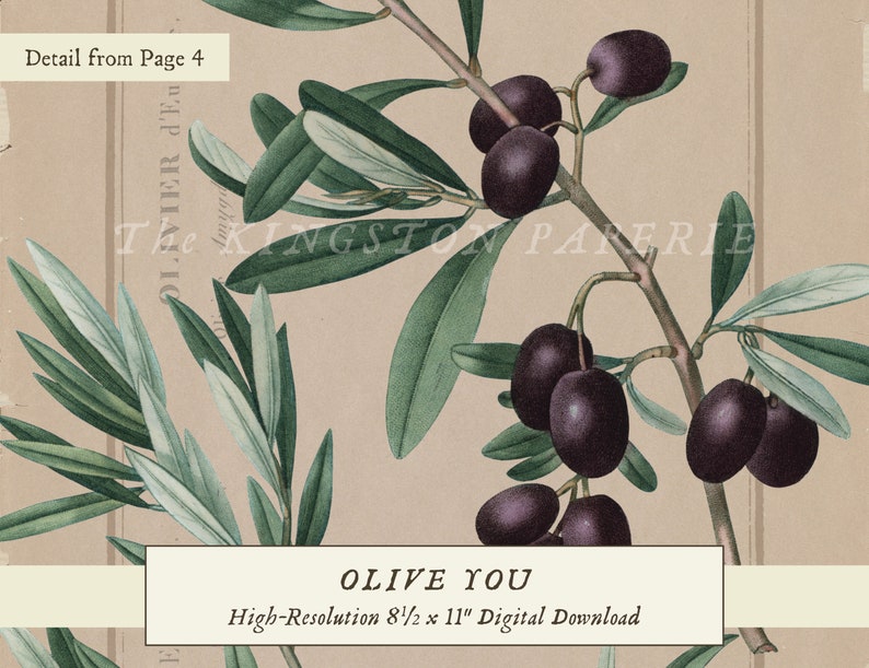 Olive You Printable Digital Download for Journals, Greeting Cards ...