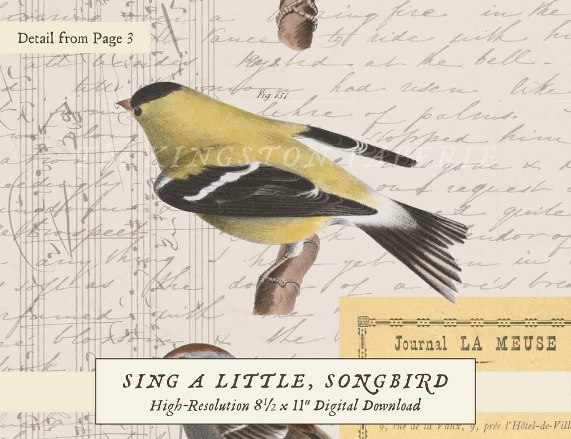 Sing A Little, Songbird Printable Digital Download for Journals ...