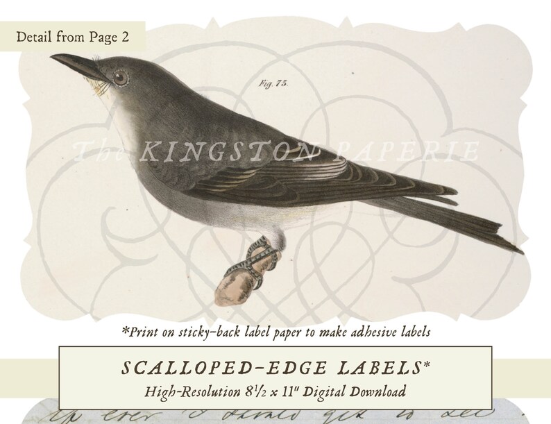 Scalloped-edge Label Printable Digital Download for Journals, Greeting ...
