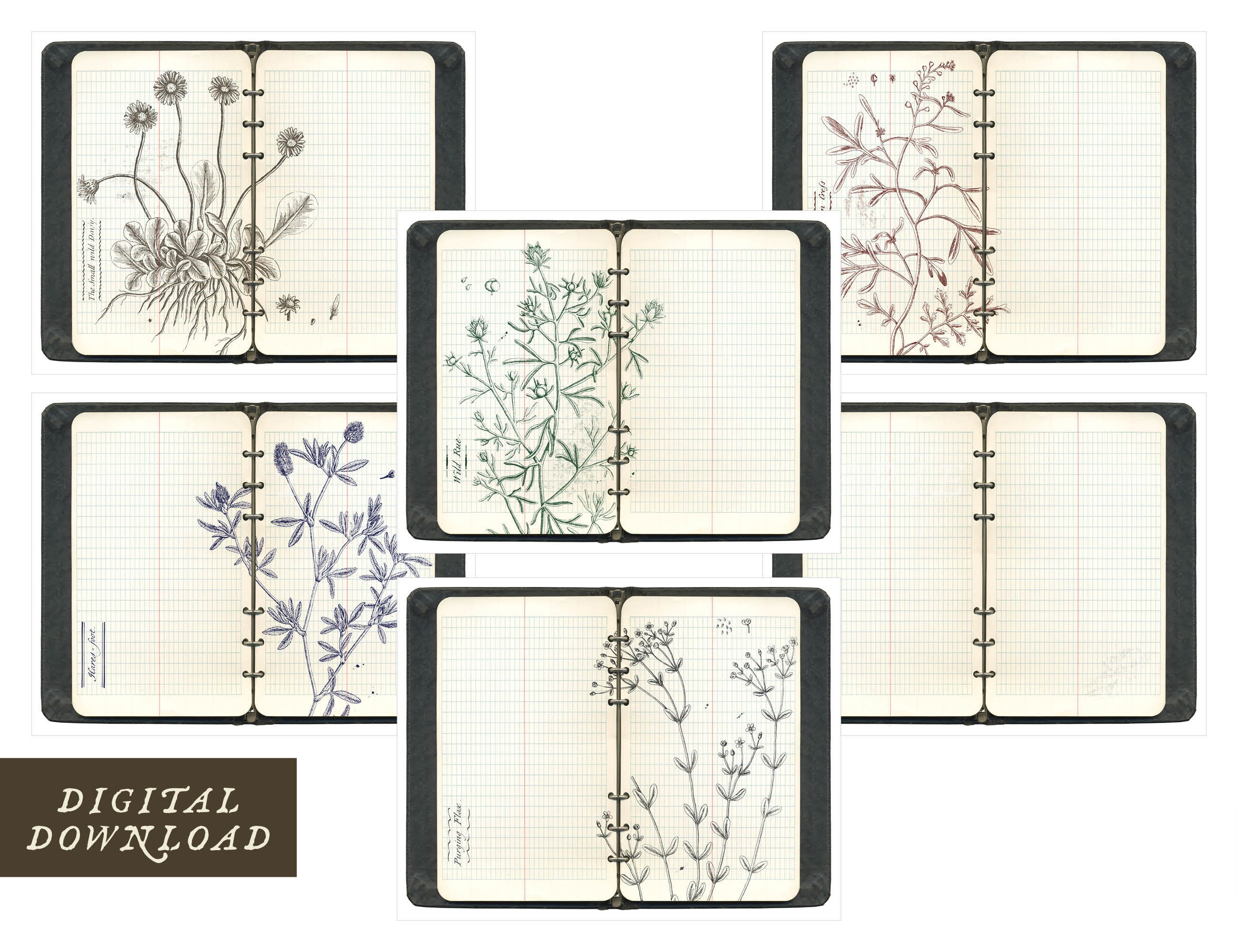 How Does Your Garden Grow? Printable Digital Download for Journals ...