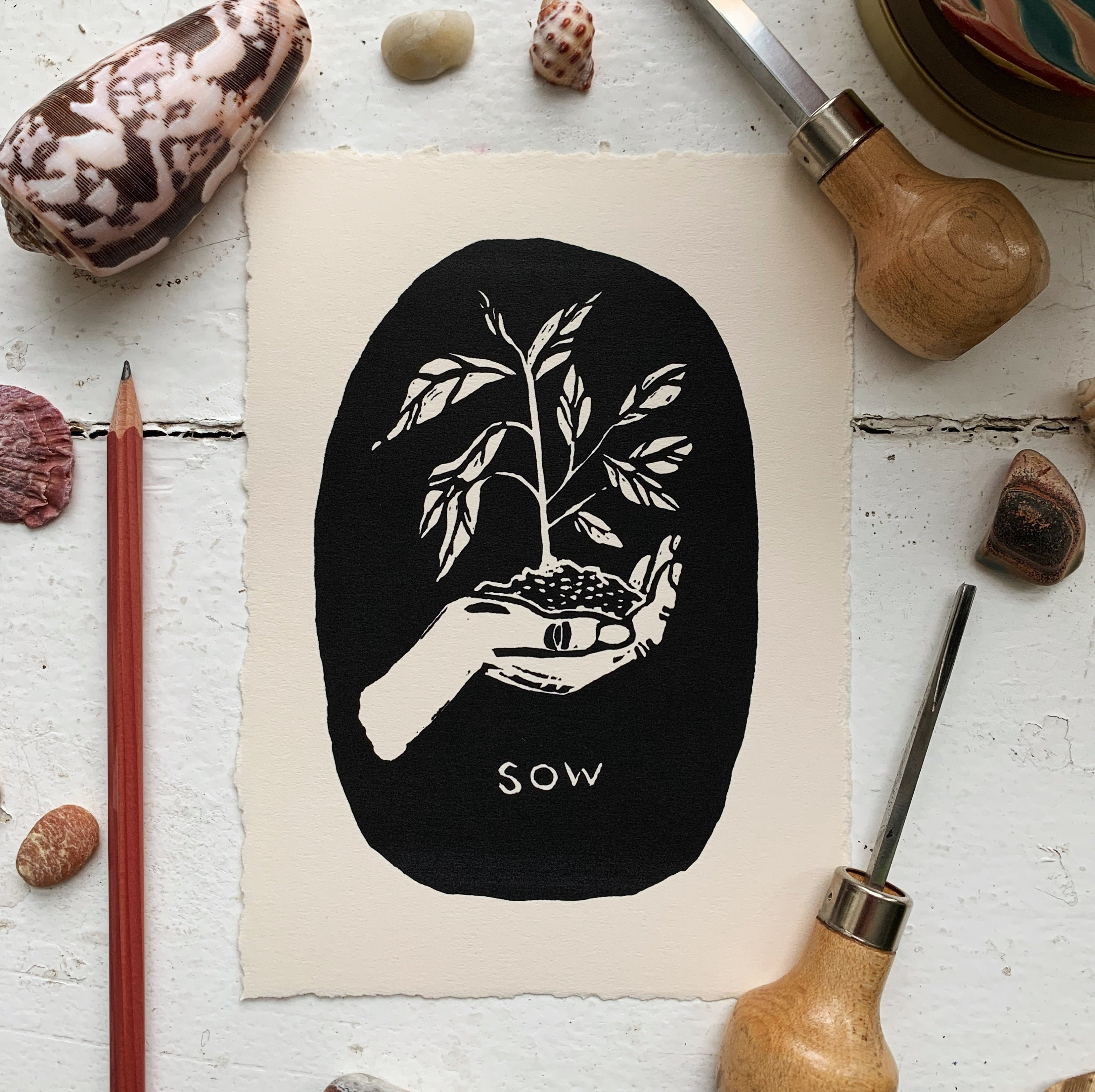 Sow Block Print Botanical Art Print - Etsy