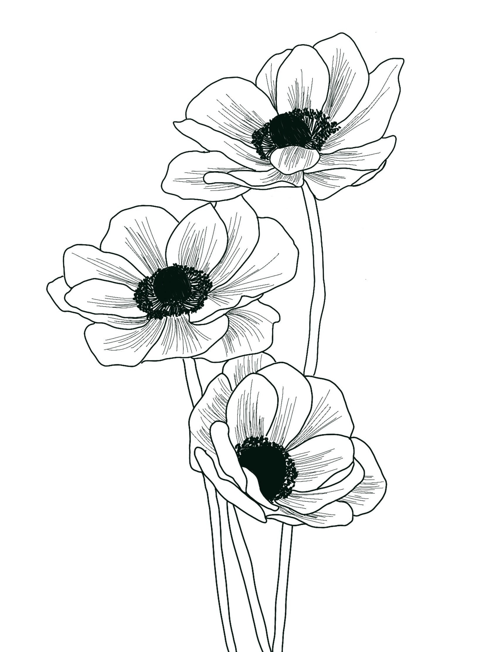 Three Flower Line Drawing - Etsy