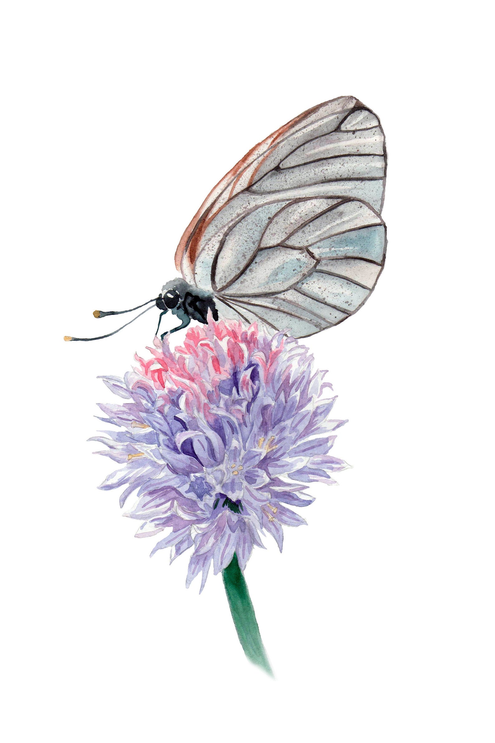 Watercolor Botanical Print Butterfly on a Flower Download DIY | Etsy