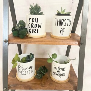 Flower Pots, Planters, Funny Planters, Funny Quotes, Ceramic Planters ...