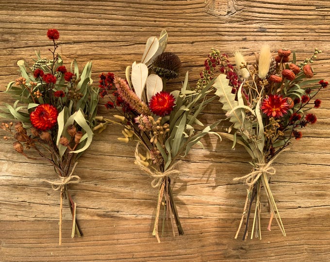 Set of 3 Native Posies, Native Dried Flowers, Australian Flowers - Etsy ...