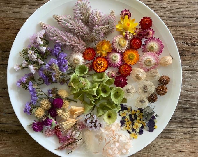 Dried Craft Flowers, Mixed Dried Flowers, Selection of Dried Flowers ...