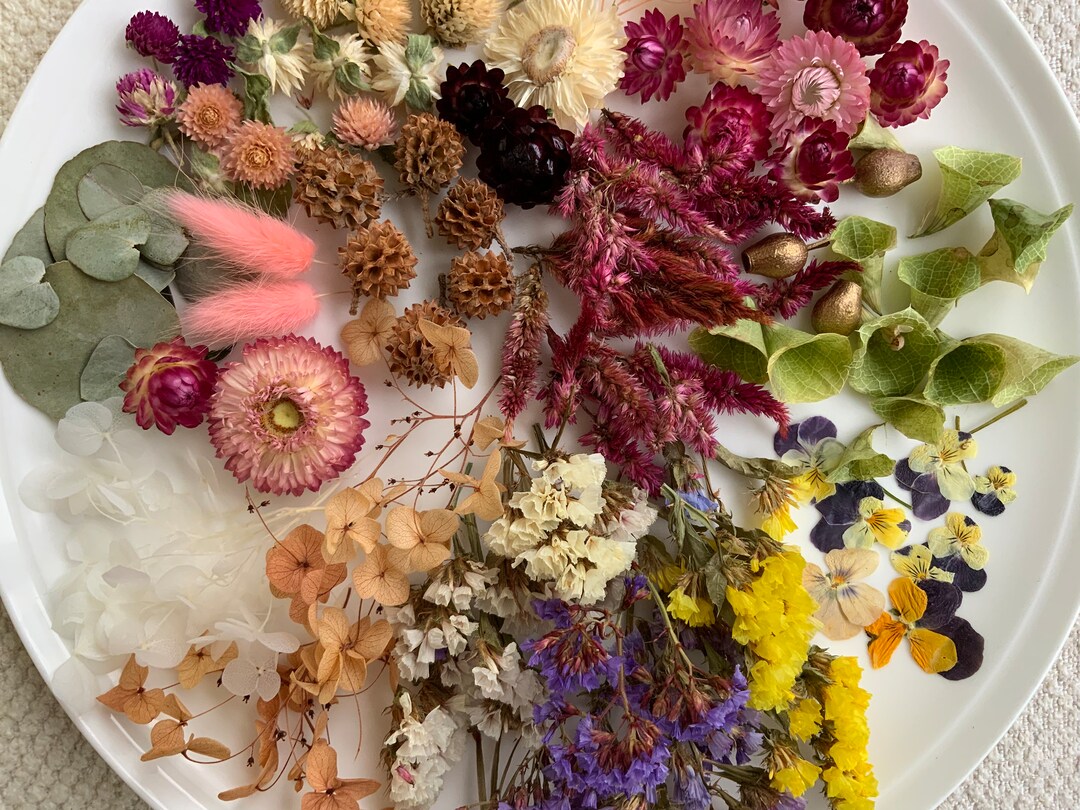Dried Craft Flowers Mixed Dried Flowers Selection of Dried - Etsy Australia