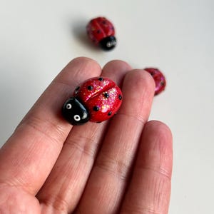 Lady Bug Magnets | Bug Magnets | Clay Magnets | Magnets | Fridge ...