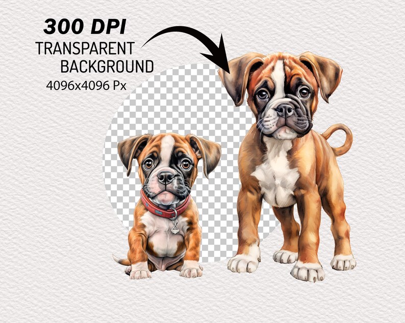 Boxer Dog Clip Art Watercolor, Dog Breeds Pet Clipart Puppies on Shirt ...