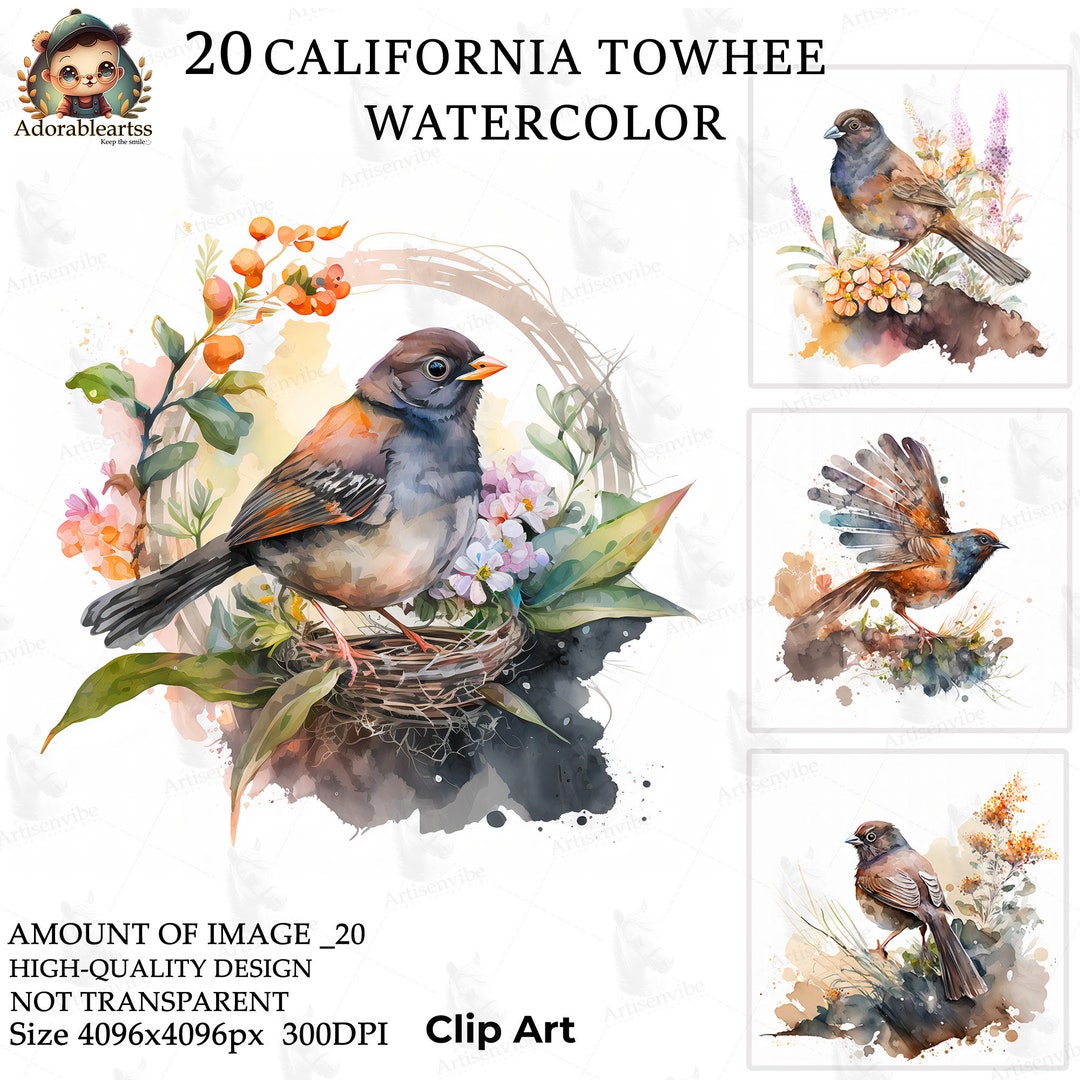 California Towhee Bird Watercolor Clipart, Towhee, Paper Craft, 20 High ...