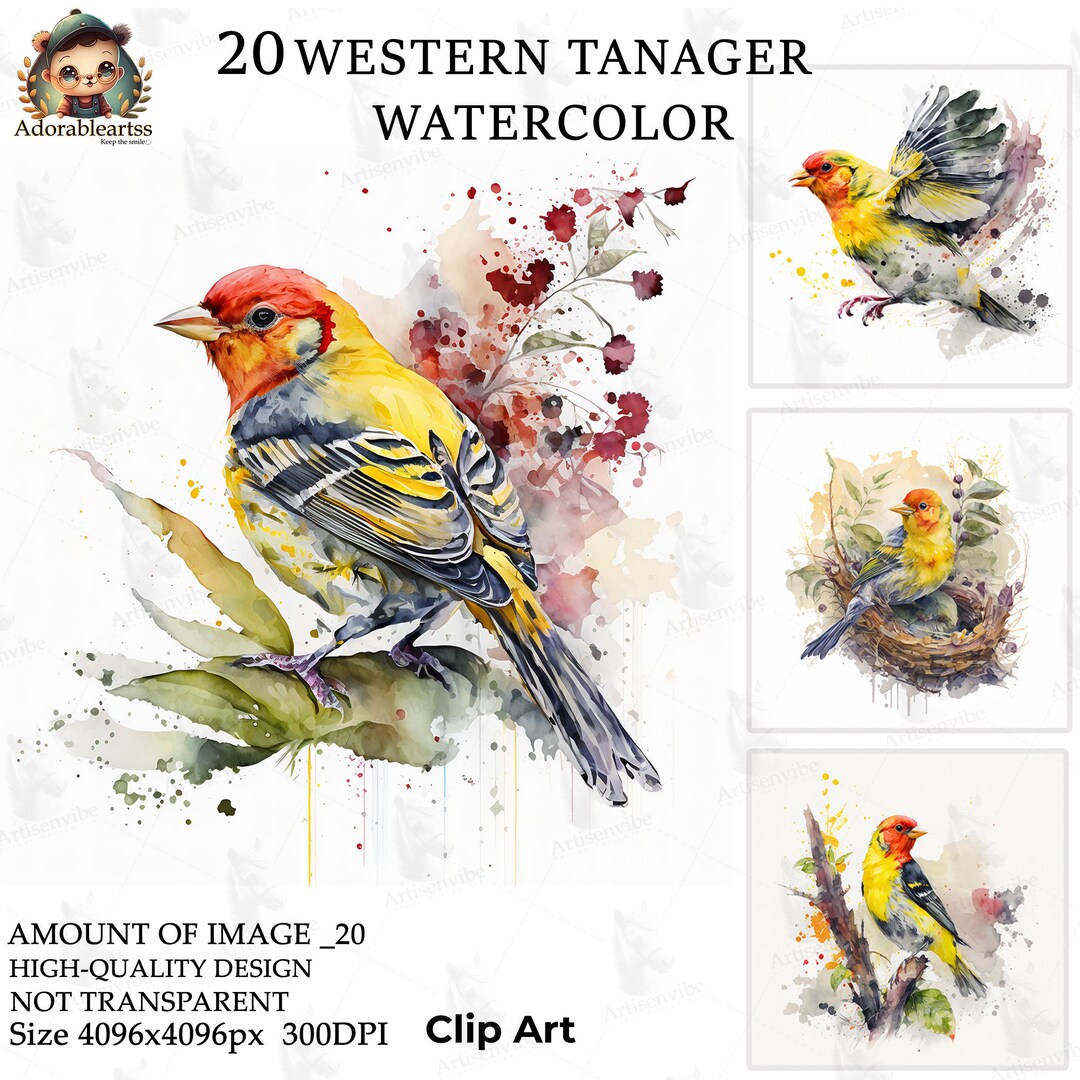 Western Tanager Watercolor Clipart, Nursery Book At, Paper Craft, 20 ...