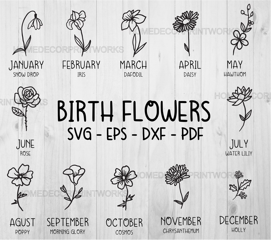 Birth Month Flowers Svg, Wildflower, Birthday Flower, Bundle, DXF ...