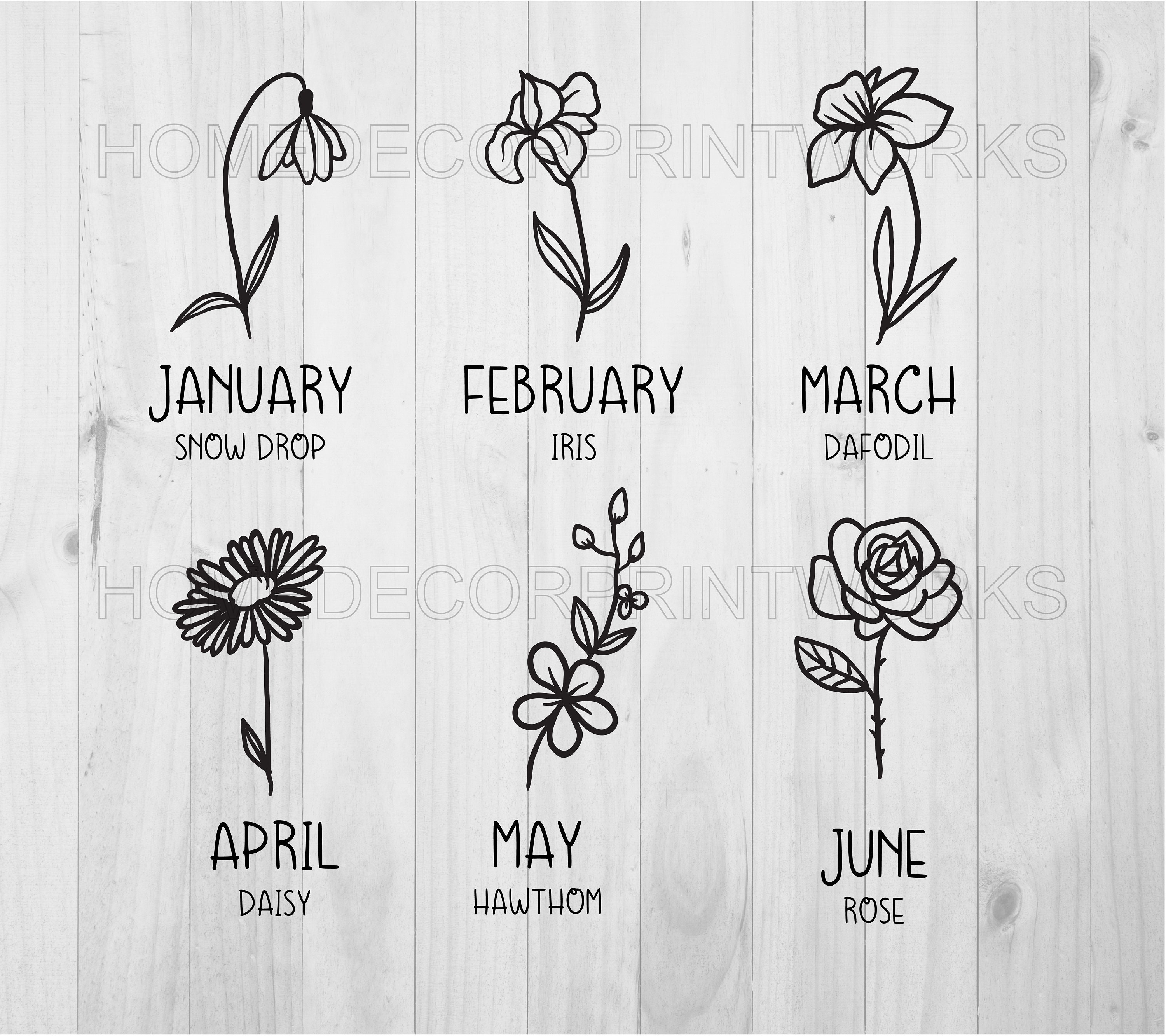 Birth Month Flowers Svg Wildflower Birthday Flower Bundle - Etsy