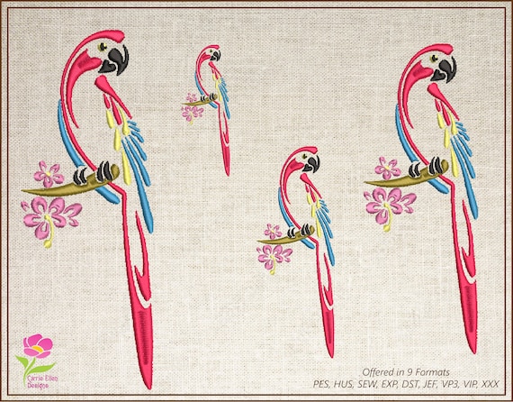 Parrot Machine Embroidery Design Bird Embroidery Design - Etsy