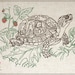 Turtle Machine Embroidery Design, Tortoise Embroidery Design, Redwork ...