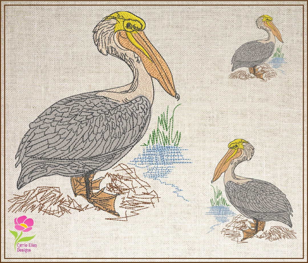Pelican Machine Embroidery Design, Custom Embroidery Pattern, Audubon ...