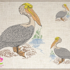 Pelican Machine Embroidery Design, Custom Embroidery Pattern, Audubon ...