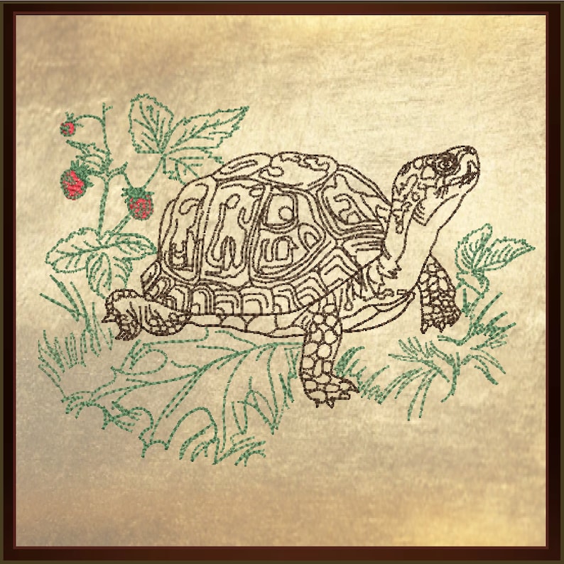 Turtle Machine Embroidery Design Tortoise Embroidery Design - Etsy