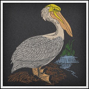 Pelican Machine Embroidery Design, Custom Embroidery Pattern, Audubon ...
