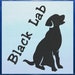 Black Lab Machine Embroidery Design, Labrador Retriever, Dog Embroidery ...