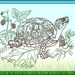 Turtle Machine Embroidery Design, Tortoise Embroidery Design, Redwork ...