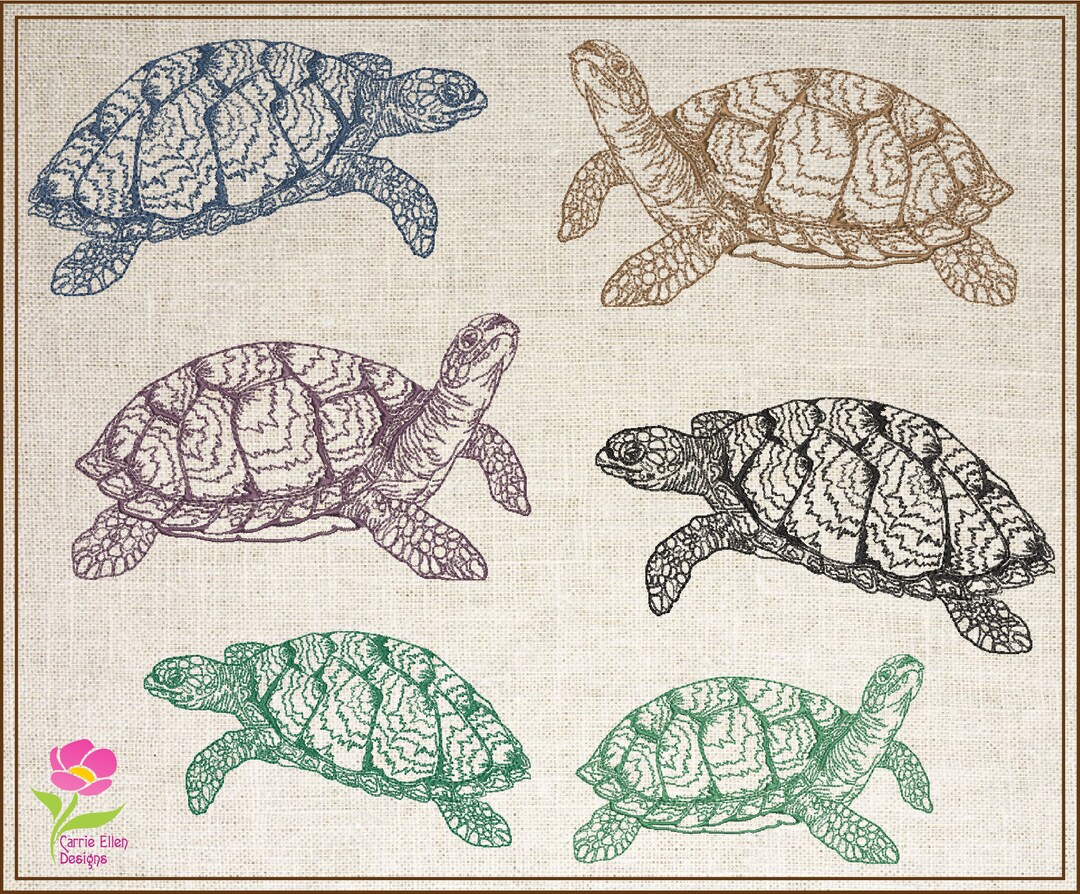 Turtle Sketch Machine Embroidery Design Bundle, Sea Turtle Embroidery, Sea Life Design, Red Work ...