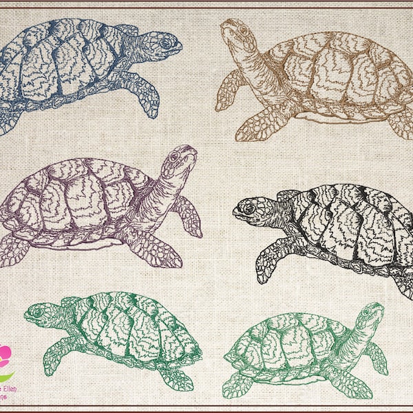 Turtle Embroidery - Etsy