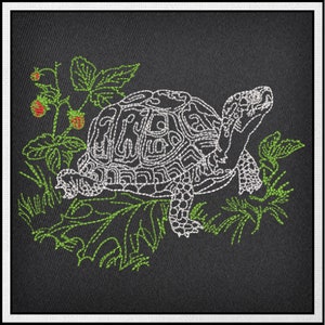 Turtle Machine Embroidery Design, Tortoise Embroidery Design, Redwork ...