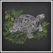 Turtle Machine Embroidery Design, Tortoise Embroidery Design, Redwork ...
