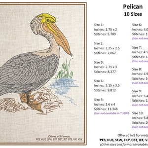 Pelican Machine Embroidery Design, Custom Embroidery Pattern, Audubon ...