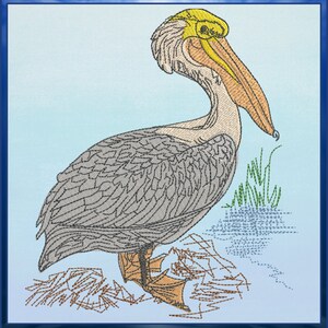 Pelican Machine Embroidery Design, Custom Embroidery Pattern, Audubon ...